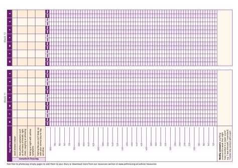 Peak Flow Diary Asthma Download Fillable Pdf Templateroller