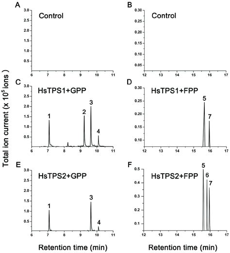 Total Ion Chromatogram Of The Products Formed By Incubating Extracts Of