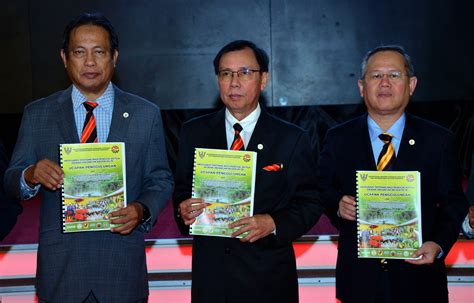 Tanah Ncr Dikemansang Chara Suwa Suara Sarawak