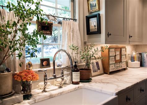 Cozy Kitchen Sink With Potted Plant