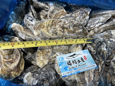 【禧福水產】獨家日本超超大廣島鮮凍生食級生蠔7l帶殼牡蠣 399元3顆 最低價團購熱炒日本料理燒烤餐廳居酒屋可批發 Yahoo奇摩拍賣