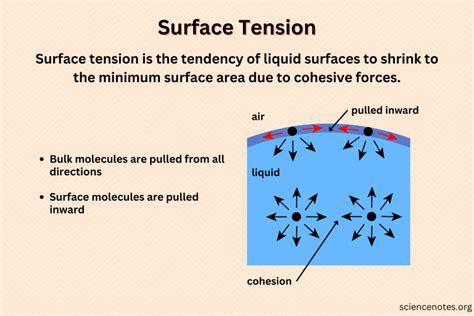 Surface Tension Definition Examples Formula