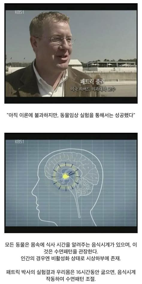시차적응 꿀팁 유머 움짤 이슈 에펨코리아