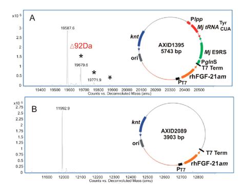 Figure 2 From Role Of Trna Orthogonality In An Expanded Genetic Code