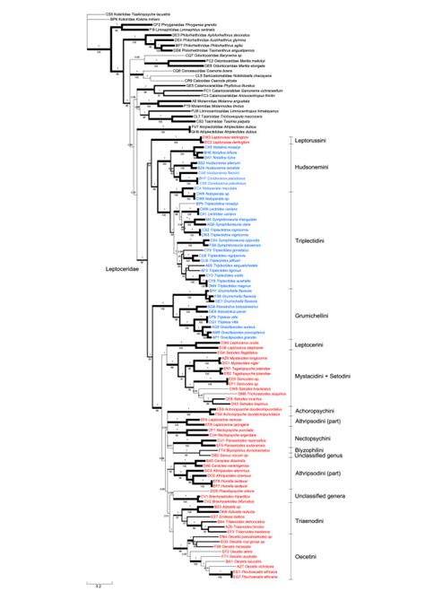 bayesian inference bi topology of the complete data set composite of