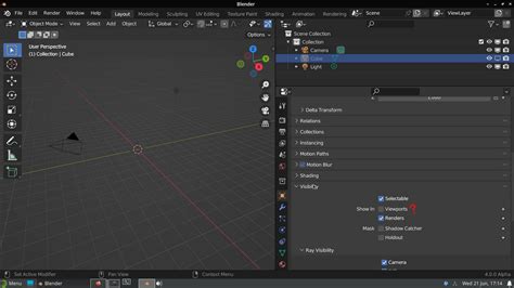 Mesh Hidden But Not Hidden Renders Fine Basics Interface