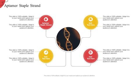 Aptamer Staple Strand In Powerpoint And Google Slides CPP PPT Template