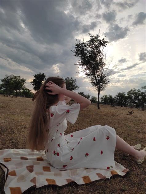поле🌄