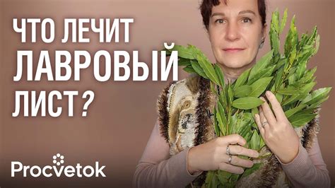 ВСЕГО 2 ЛИСТИКА ПОМОГУТ ОТ БОЛИ В СУСТАВАХ ВИРУСОВ И ПАРАЗИТОВ Целебный отвар из лаврового