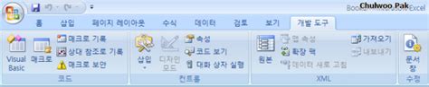 Can Computer And Network Tips Excel 2010 리본 메뉴에 개발 도구 탭 표시하기