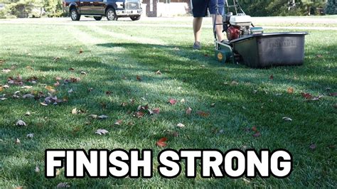 Ive Been Reel Mowing Turf Type Tall Fescue For A Full Year How Did