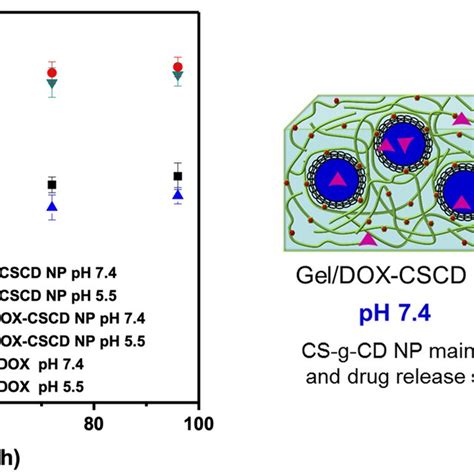 Dox Release Profiles From Dox Loaded Cs G Cd Nps Dox Cscd Nps