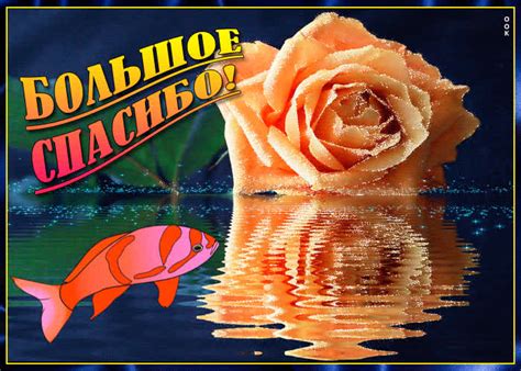 Картинки Спасибо | ТОП Картинки