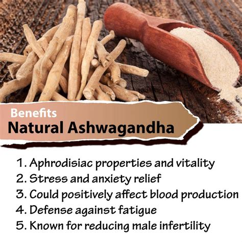Organic Ashwagandha Capsules In Bulk For Wholesale Price Ekowarehouse