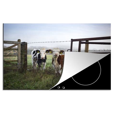 Muchowow Herdblende Abdeckplatte Kühe Zaun Friesland Vinyl 1