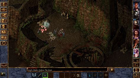 Baldur gate медведь