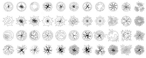 Premium Vector Set Of Trees And Plants Top View For Landscape Design Icon Set Foliage Grass