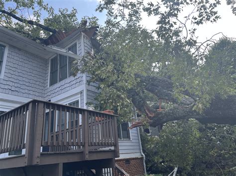 Storm Clean Up Tree Care Rowen Tree Care And Consulting Arborist Chehalis