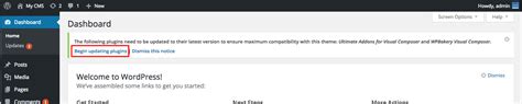 How To Update Included Plugins Automatically Pointfinder Documentation