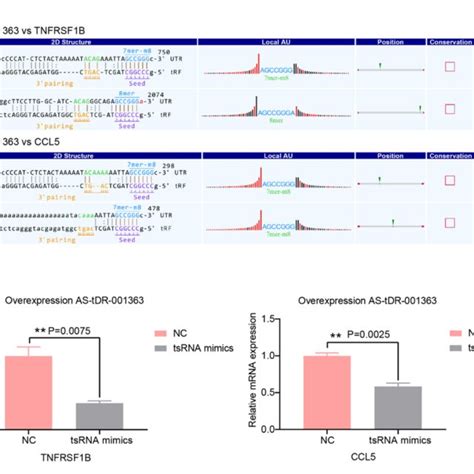 Differences And Characterizations Of TsRNAs Expression Profiles