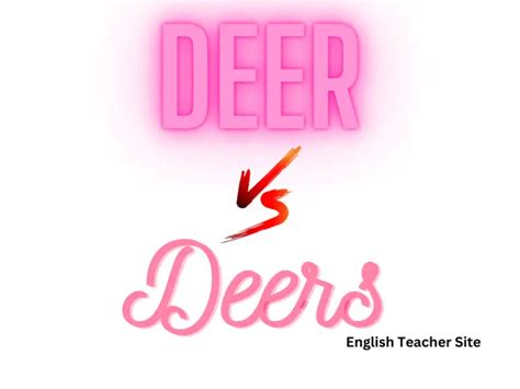 what s the plural of hoof understanding singular and plural forms