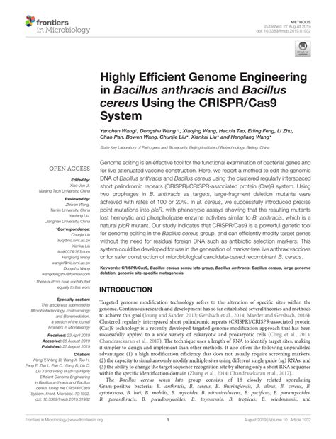 Pdf Highly Efficient Genome Engineering In Bacillus Anthracis And