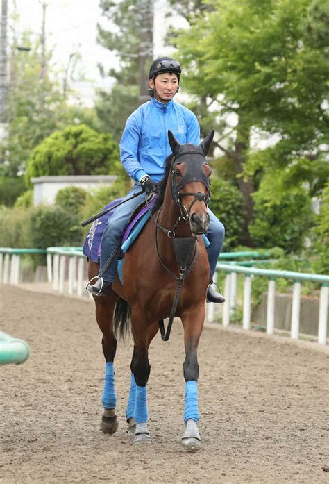 【宝塚記念】ファン投票最終結果 アーモンドアイ首位守る、ラッキーライラック2位 スポニチ Sponichi Annex ギャンブル