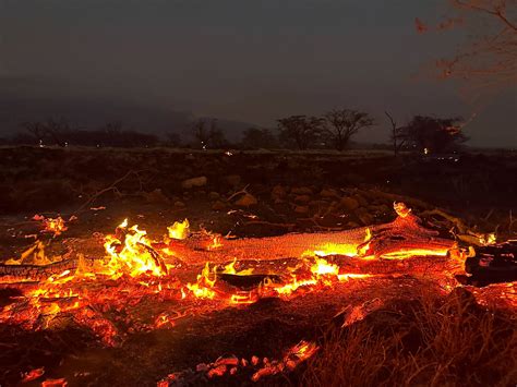夏威夷史上最致命大火已致67人死亡 昔日旅游中心变“鬼城”海纳毛伊野火