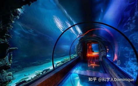 为什么海洋是地球上最大的生态系统 知乎