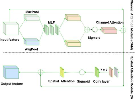 Figure From A Multi Branch And Attention Based Cnn Architecture For