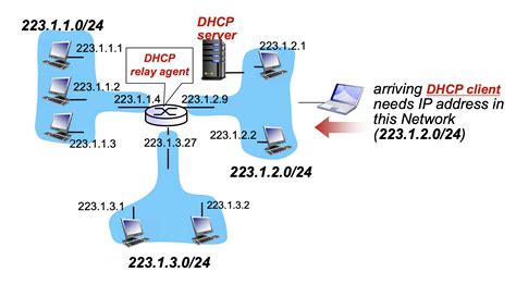 네트워크 43 Dhcp Protocol