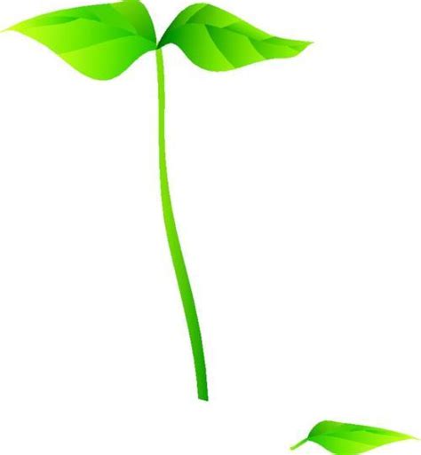 小幼芽简笔画 简笔画图片大全 普车都