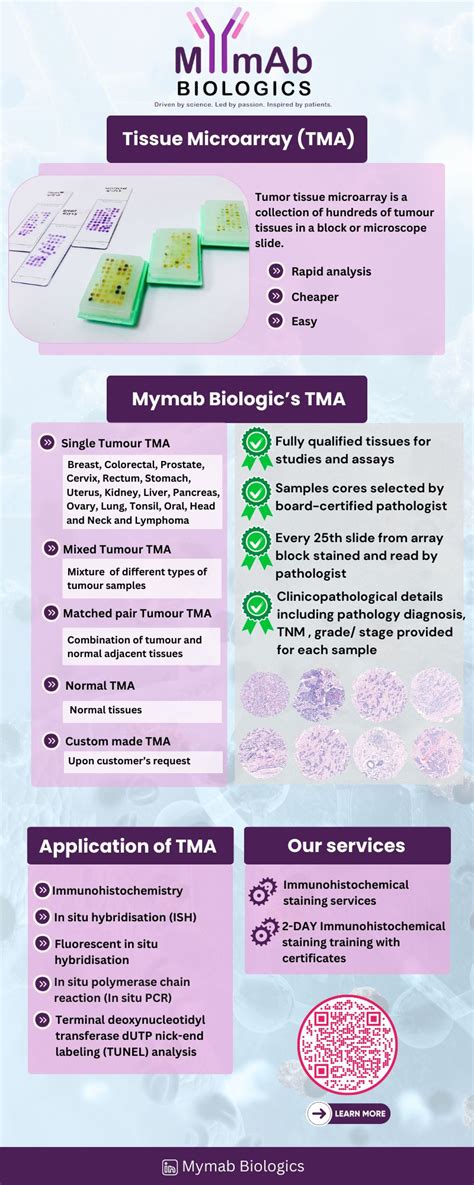 Mymab Biologics On Linkedin Cancer Remains The Leading Cause Of Death Worldwide By The Year