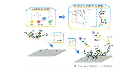 Antifouling And Bactericidal Zwitterionic Polymer Coatings With Synergistic Inhibitory And