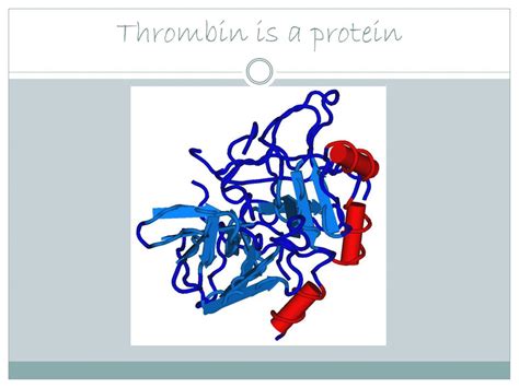 Ppt Thrombin Is Produced In The Liver Powerpoint Presentation Free