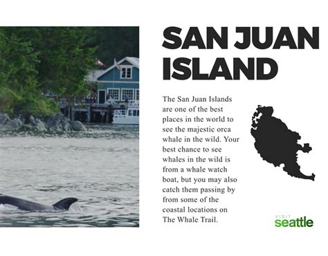 Visit Seattle Web Series Intro Cards On Behance