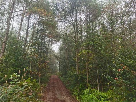 全国首单水土保持碳汇交易在福建长汀签约 交易碳汇10万吨项目治理流域