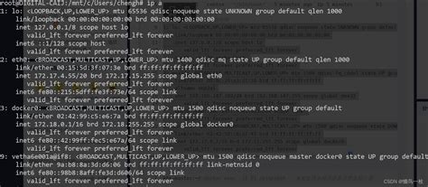 Linux 命令 查看网络端口命令linux查看所有运行的socket端口 Csdn博客