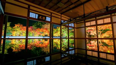 Nippon