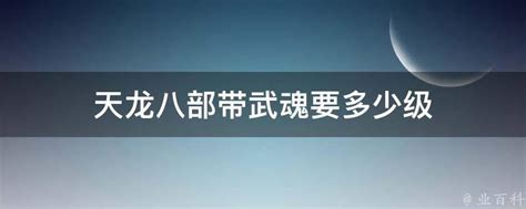 天龙八部带武魂要多少级 业百科