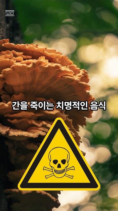 침묵의 장기 간 약도 없고 치료방법도 뾰족하지 않은 간질환들 좋은거 말고 일단 나쁜건 피해봐요 건강 건강정보 건강