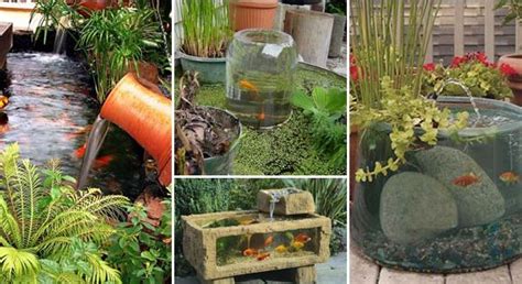 22 Small Garden Or Backyard Aquarium Ideas Will Blow Your Mind 12thblog