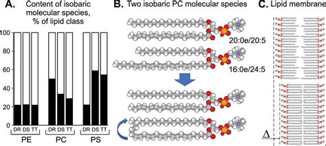 Isobaric Molecular Species A Comparison Of The Part Of Isobaric