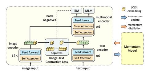 Seems Inconsistency Between Figure In ALBEF Paper And Corresponding Code Issue