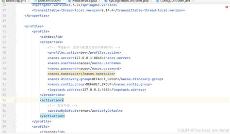 解决yml占位符报错：while Scanning For The Next Token Found Character ‘‘ That Cannot Start Any Tokenyml
