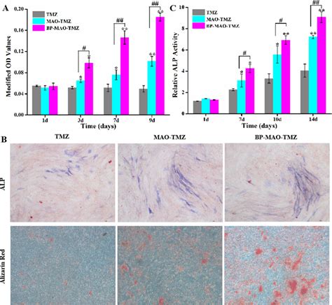 A Cell Proliferation Measured By Cck 8 Assay After 1 3 7 And 9 Days