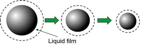 Graphical Representation Of Different Phenomena Occurring During The Download Scientific