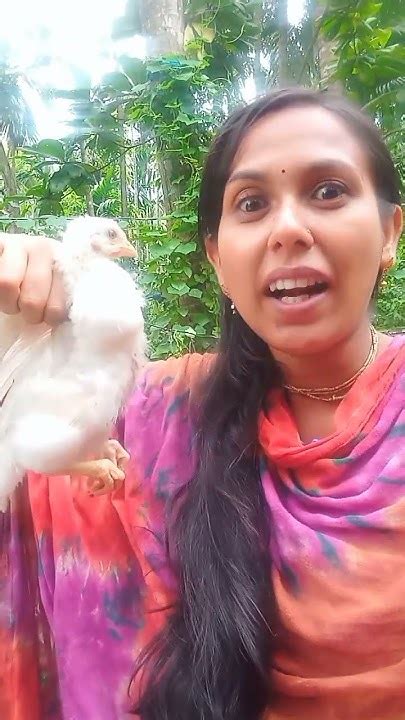 শাশুড়ী কখনো মা হয় না।। Shortsvideo Youtube