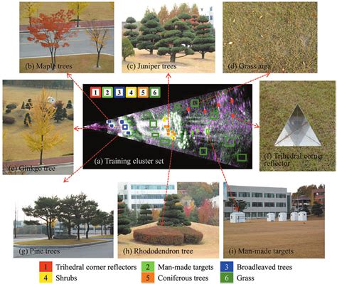 The 6 Training Cluster Set For Wishart Supervised Classification A Download Scientific