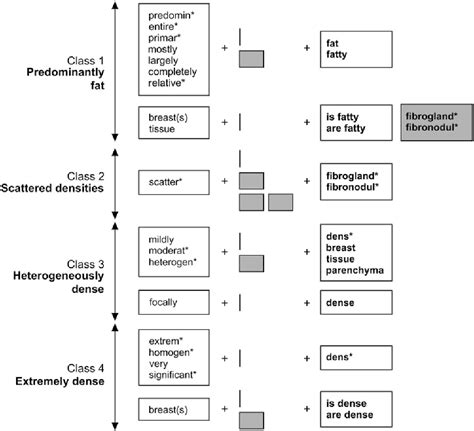 Figure 1 From Automatic Classification Of Mammography Reports By Bi Rads Breast Tissue